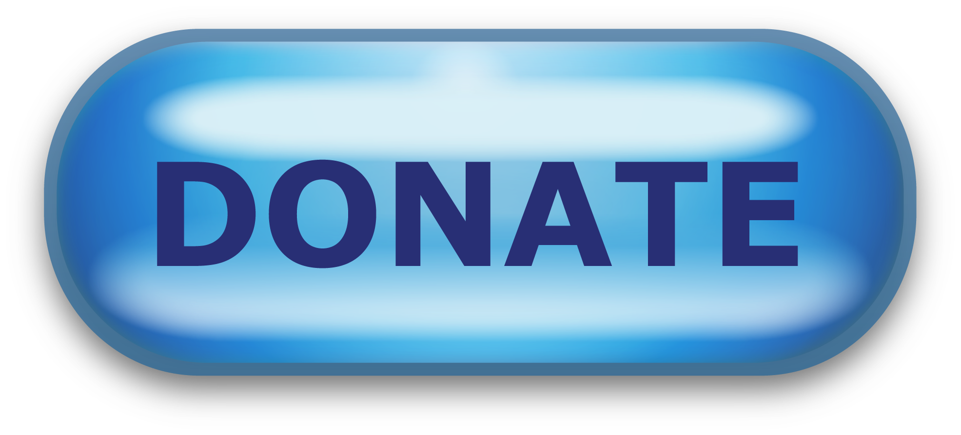 Blue Donate Button